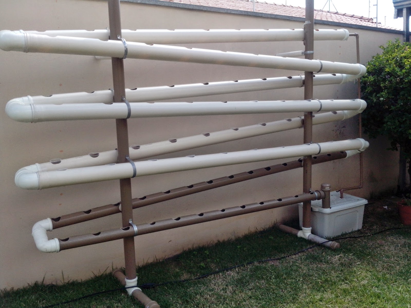 Hidroponia - Saiba tudo sobre o cultivo do futuro